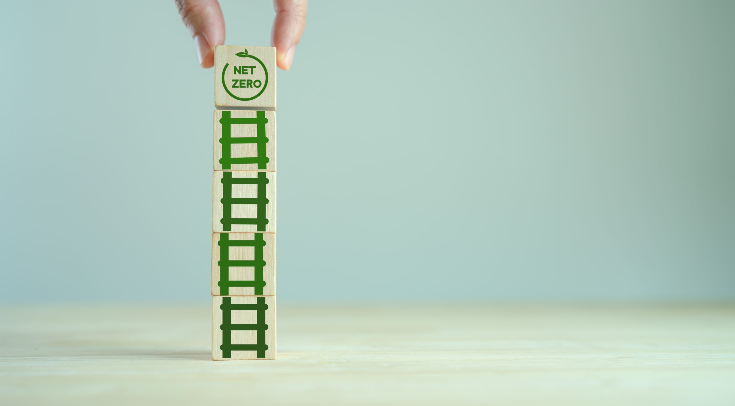 How to get started on your net zero journey - The Business Village