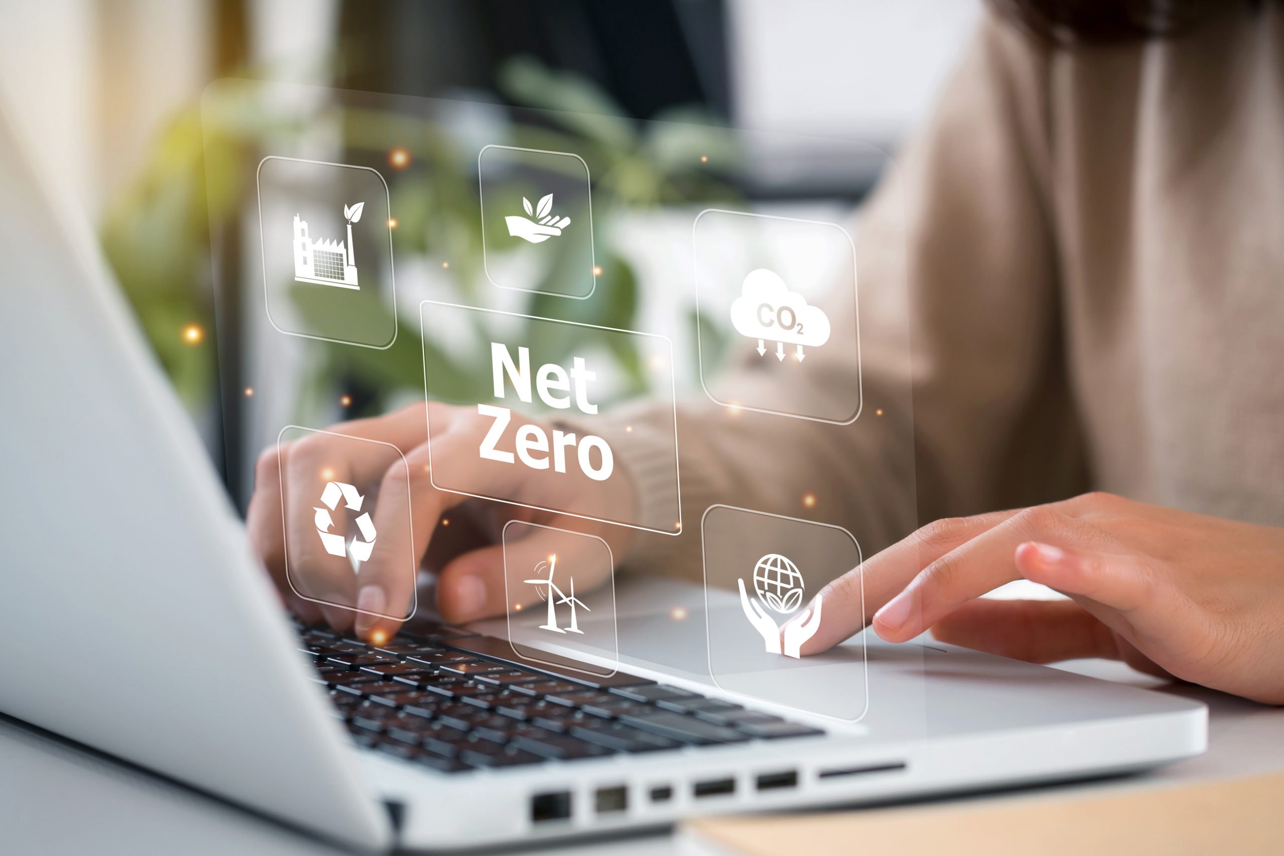 How sharing your net zero strategy can boost your marketing - The ...
